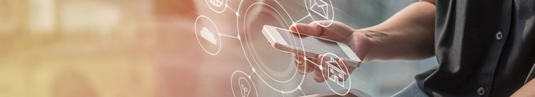 SENTRI Trusted Travelers Program: Everything You Need to Know ...